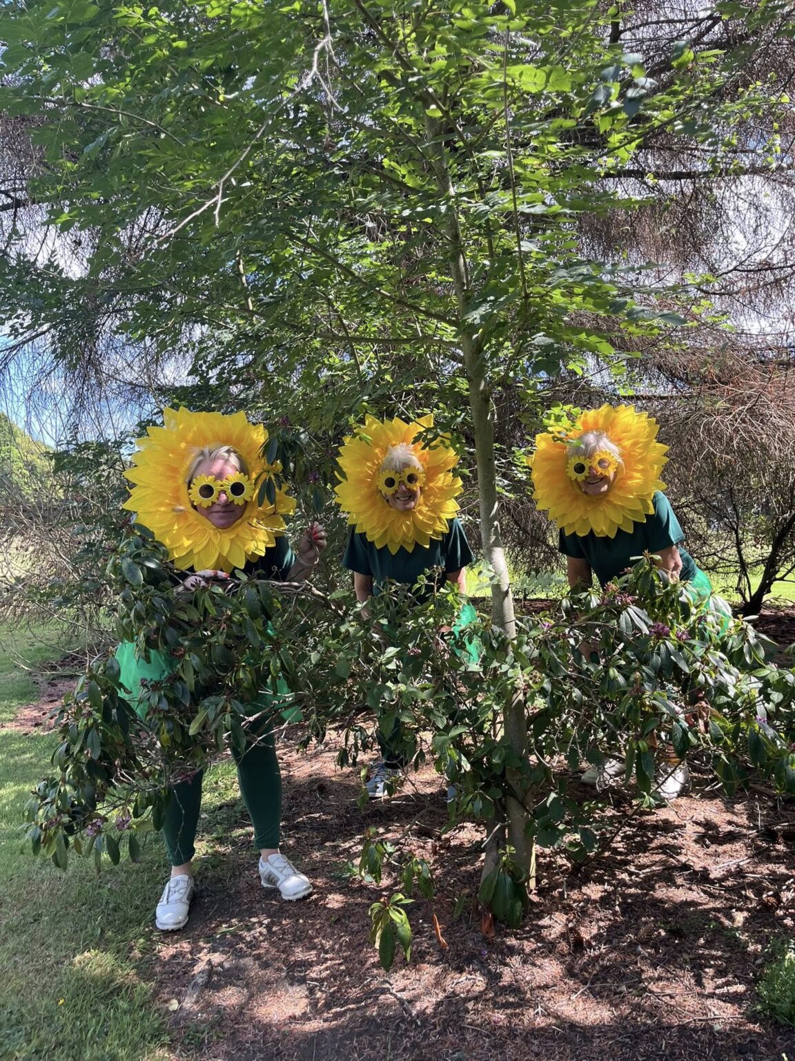 Fantastic Flowers at Durnell – Northumberland Ladies County Golf ...